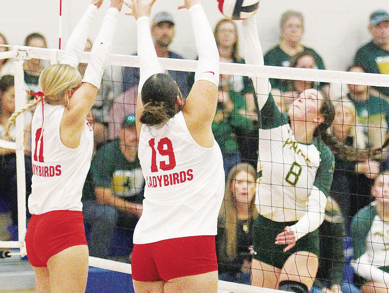 Lady 'Birds rally for bi-district win