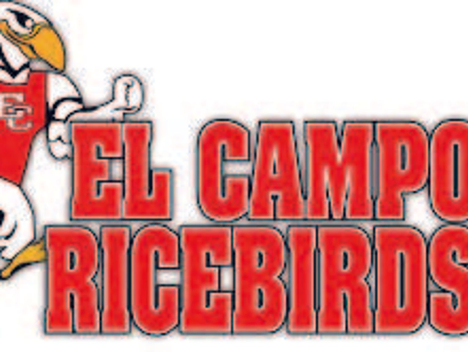 Ricebirds name seven to 1st team