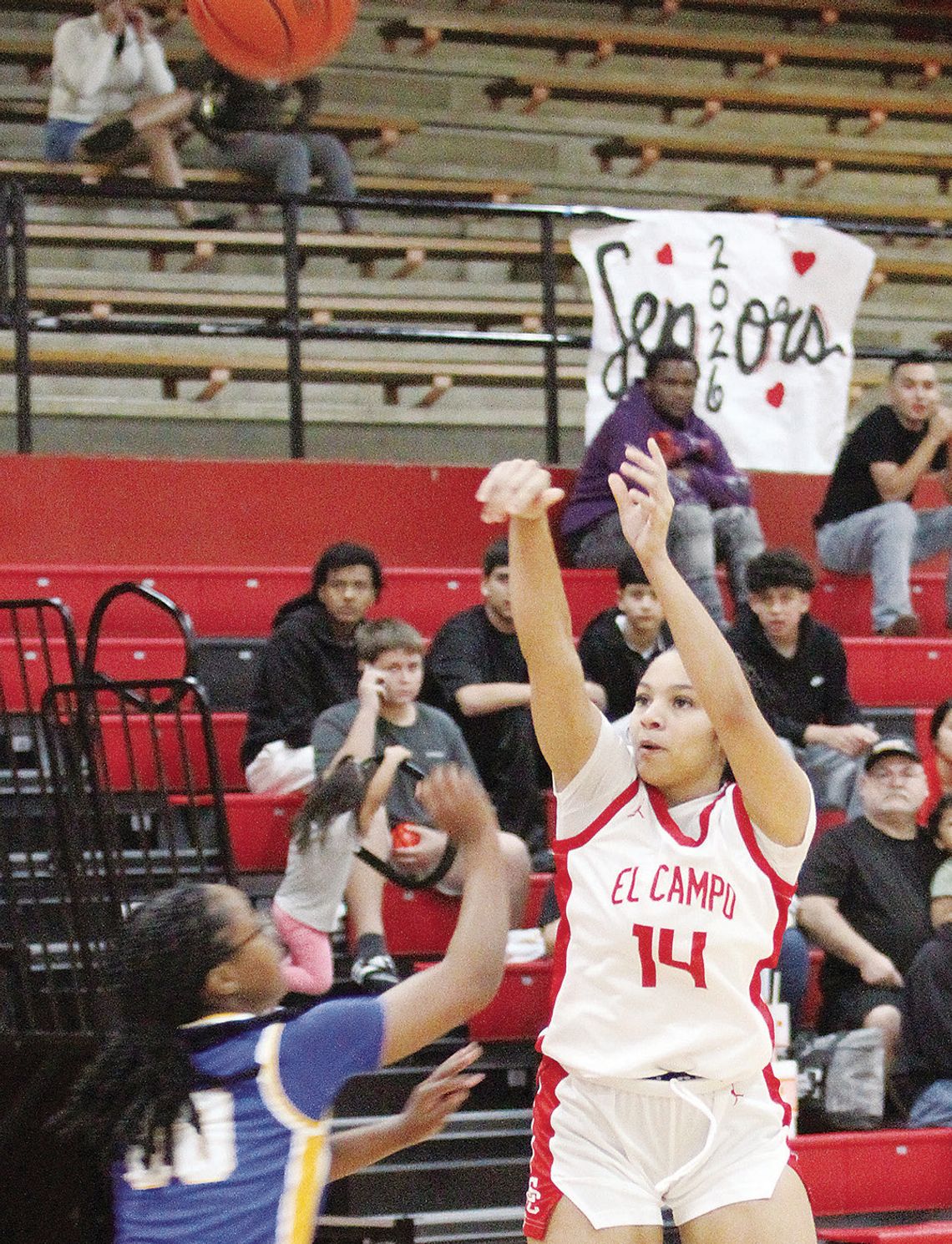 Lady 'Birds edge La Marque