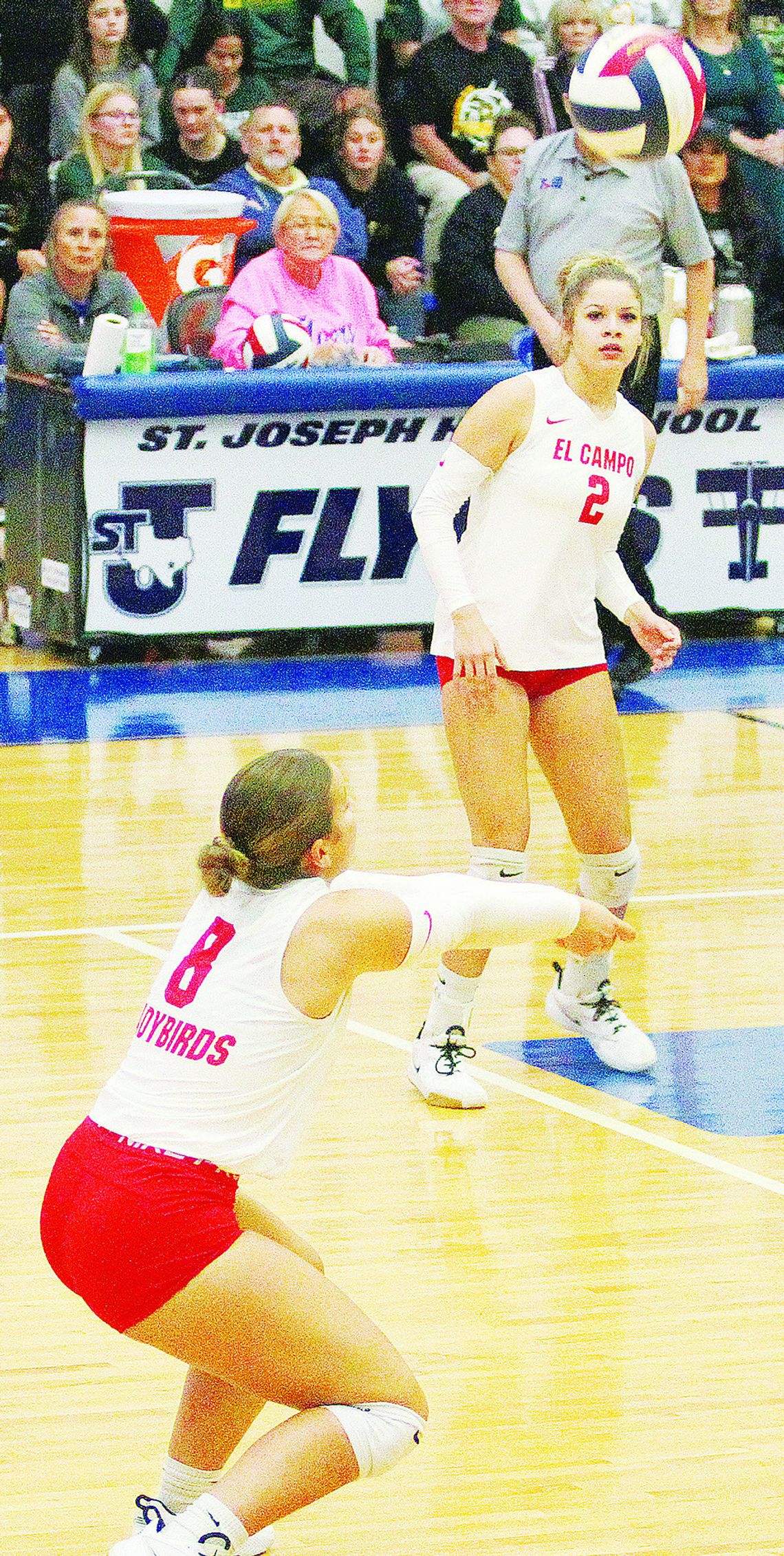 Lady Ricebirds sweep Zapata in area playoff