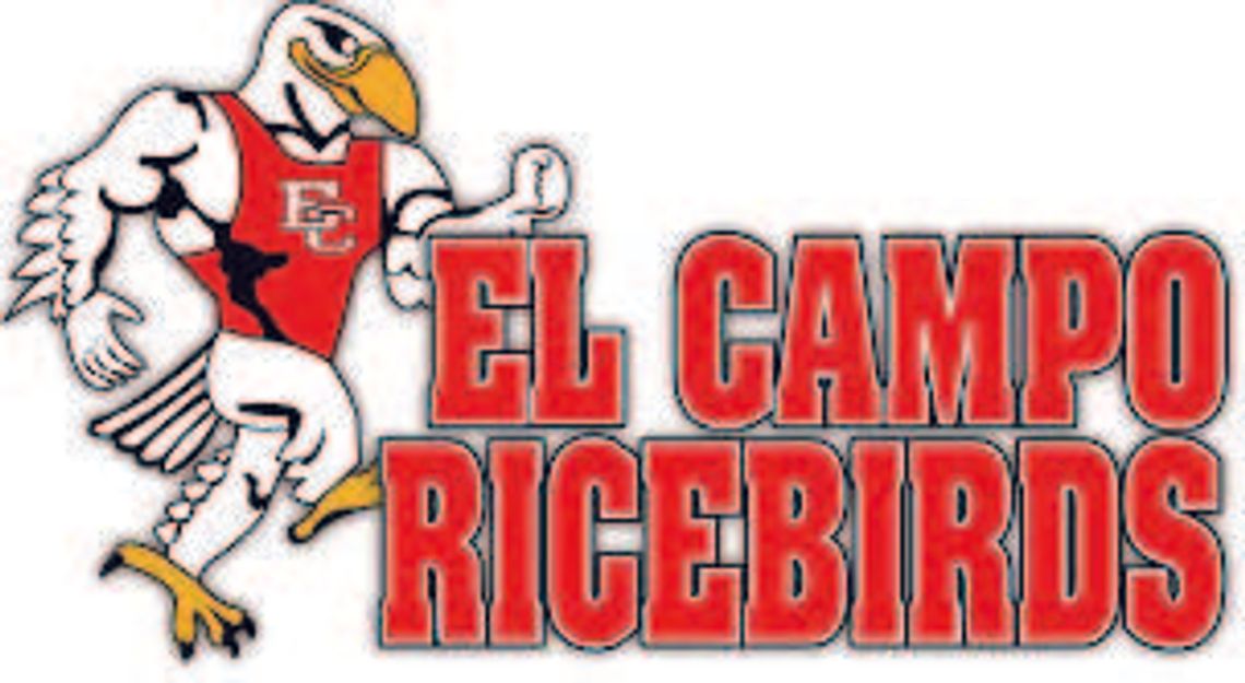 Ricebirds name seven to 1st team